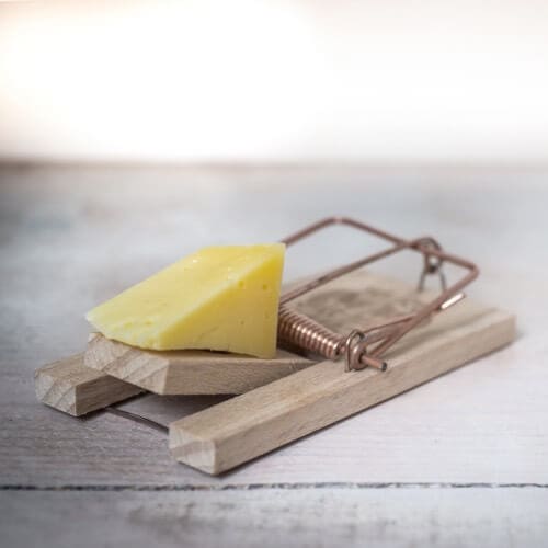 Muizen bestrijden | Muizen in huis verdelgen tips